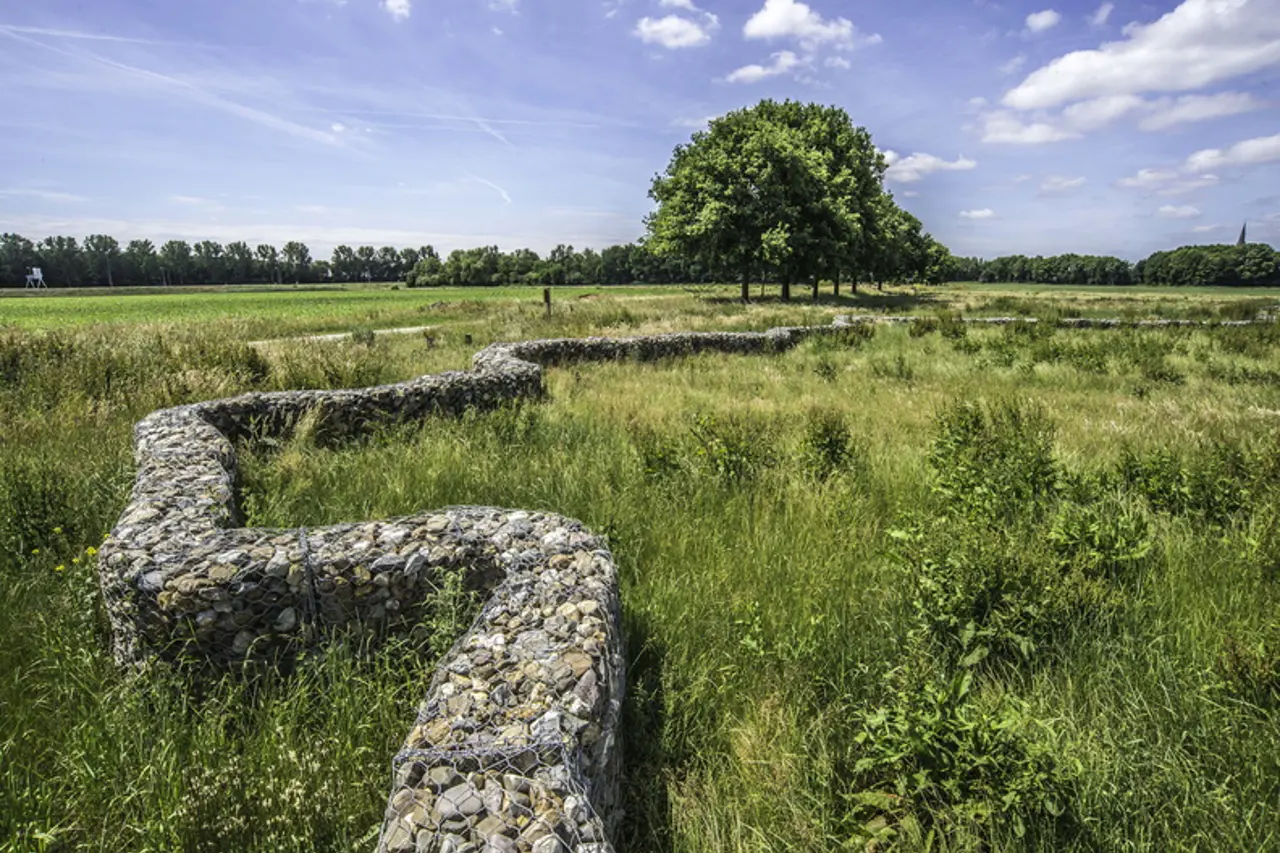 Natuurgebied De Biessertpolder | Bezoek de Langstraat